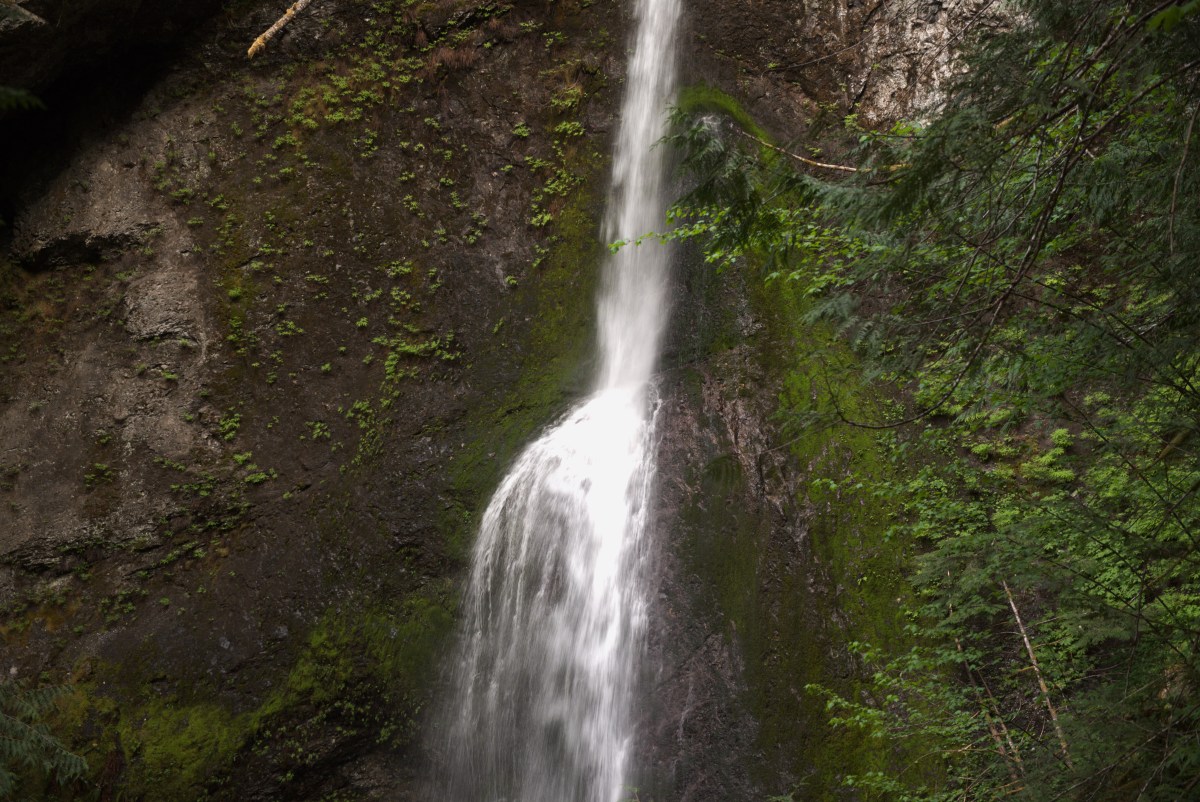 Avatar Inspiration – Healing Creations PNW